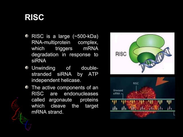 Rna interfernce ppt | PPT | Chemistry | Science