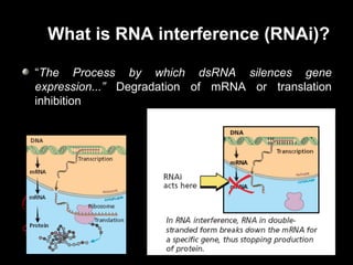 Rna interfernce ppt | PPT