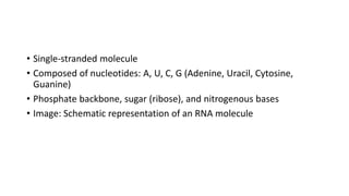 RNA introduction elementray.pptx