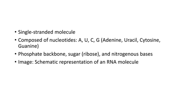 RNA introduction elementray.pptx