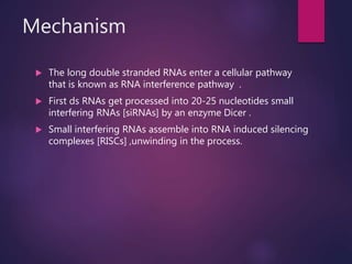 RNA – i PATHWAY | PPTX