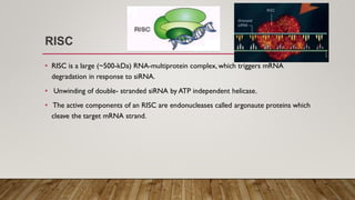RNAi silencing- miRNA and siRNA and its applications.pdf