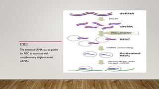 RNAi silencing- miRNA and siRNA and its applications.pdf