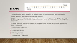 RNAi silencing- miRNA and siRNA and its applications.pdf