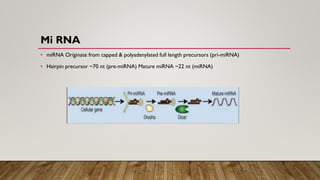 RNAi silencing- miRNA and siRNA and its applications.pdf
