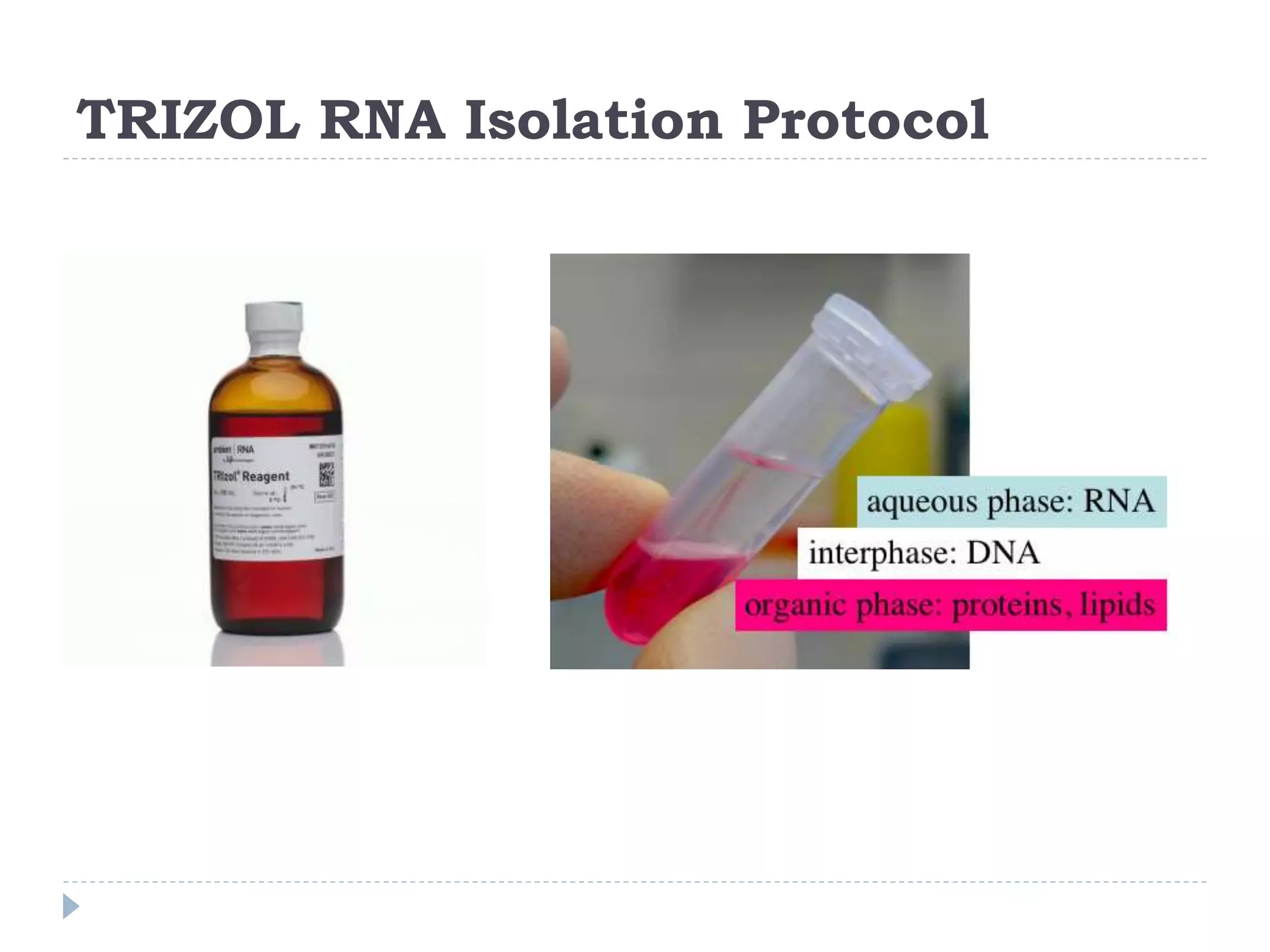 RNA isolation | PPTX