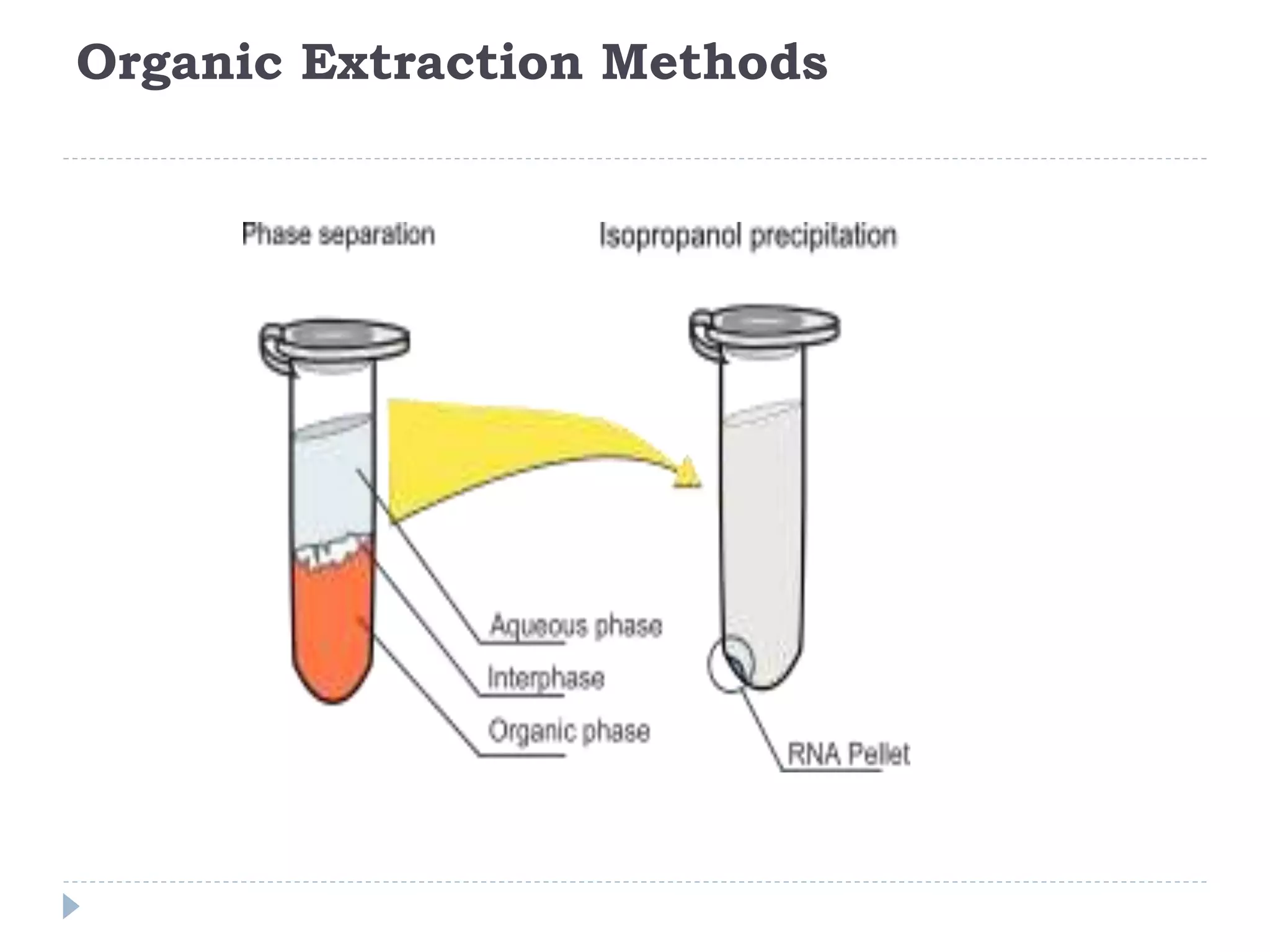 RNA isolation | PPTX | Chemistry | Science