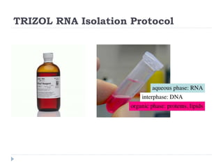 RNA isolation | PPTX