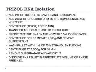 RNA isolation | PPTX