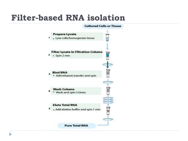 RNA isolation | PPTX | Chemistry | Science