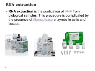 RNA isolation | PPTX