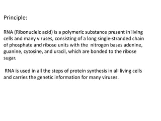RNA Isolation.pptx
