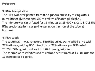 RNA Isolation.pptx