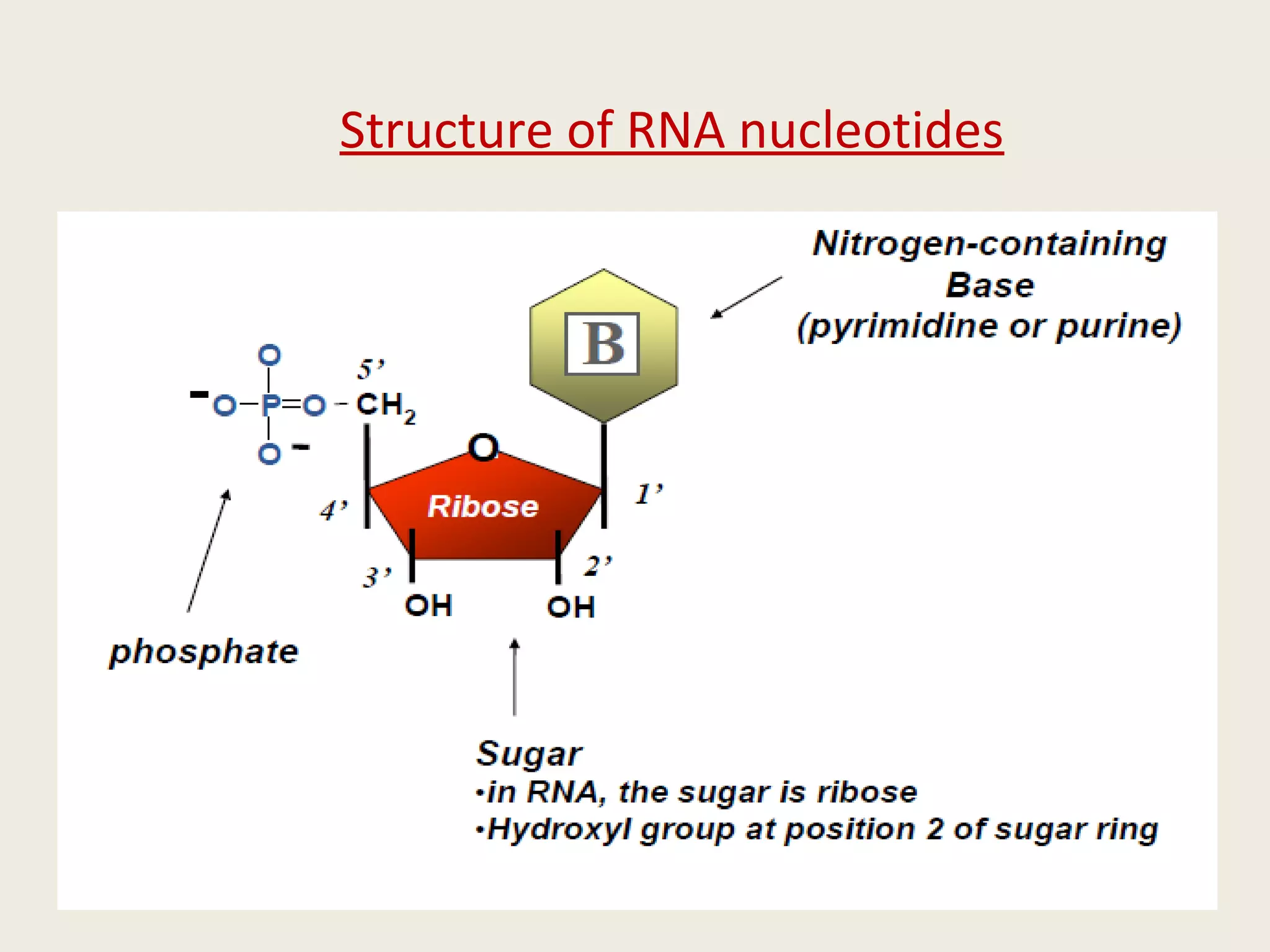Isolation of RNA and its application | PPT