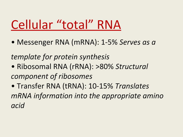 Isolation of RNA and its application | PPT