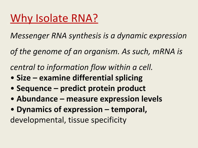 Isolation of RNA and its application | PPT