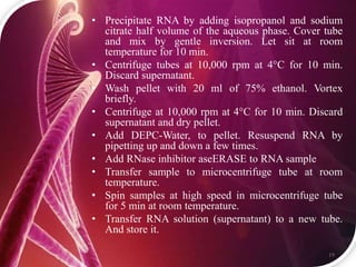 Rna isolatn | PPTX