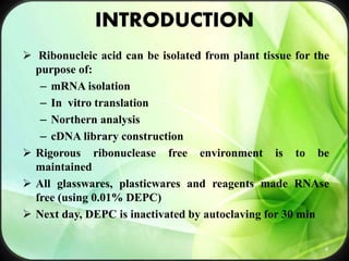 Rna isolatn | PPTX