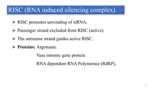 RNA INTERFERENCE TECHNOLOGY | PPTX | Chemistry | Science