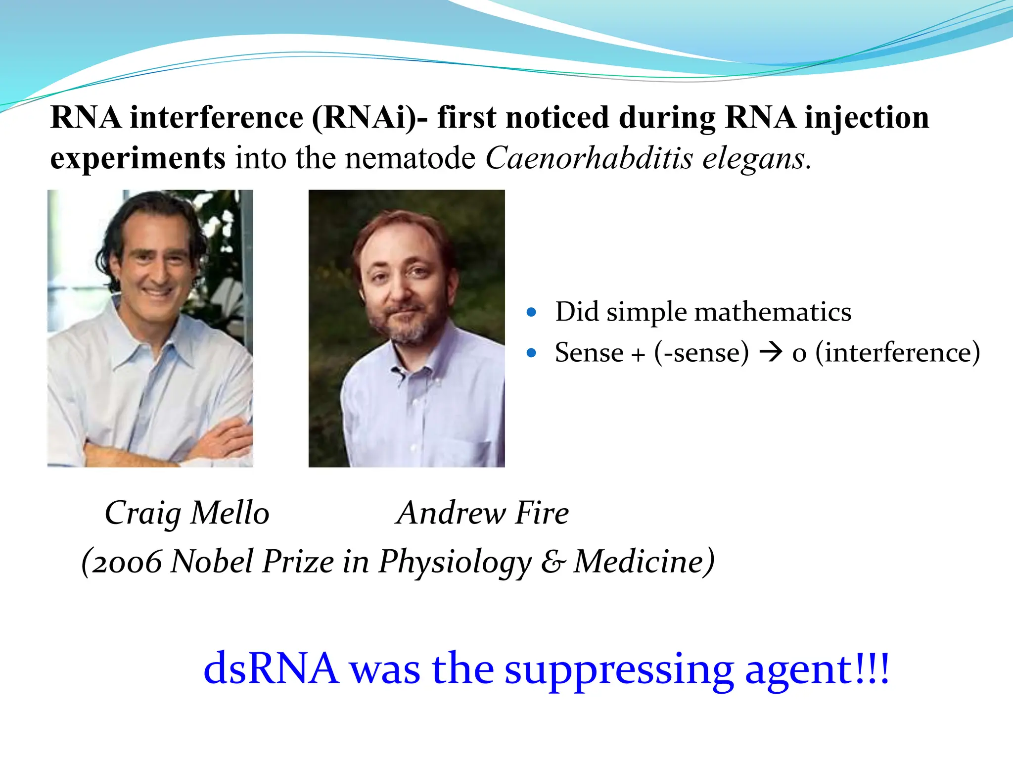 Antisence RNA and RNA Interference Technology | PPT