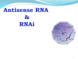 Antisence RNA and RNA Interference Technology | PPT