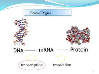 Antisence RNA and RNA Interference Technology | PPT