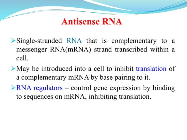 Antisence RNA and RNA Interference Technology | PPT | Chemistry | Science