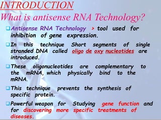 Antisence RNA and RNA Interference Technology | PPT
