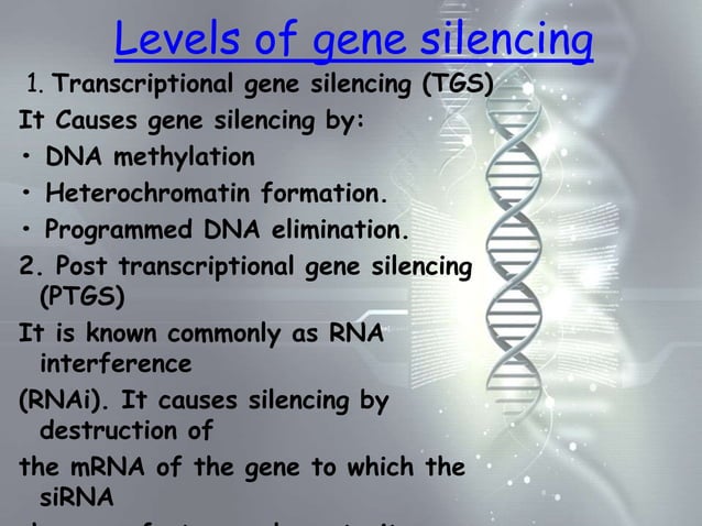 Antisence RNA and RNA Interference Technology | PPT | Chemistry | Science