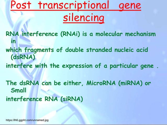 Antisence RNA and RNA Interference Technology | PPT | Chemistry | Science