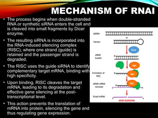 RNAi [RNA INTERFERENCE] including {siRNA and miRNA} | PPTX