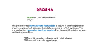 RNA interference in Crop Improvement | PPT