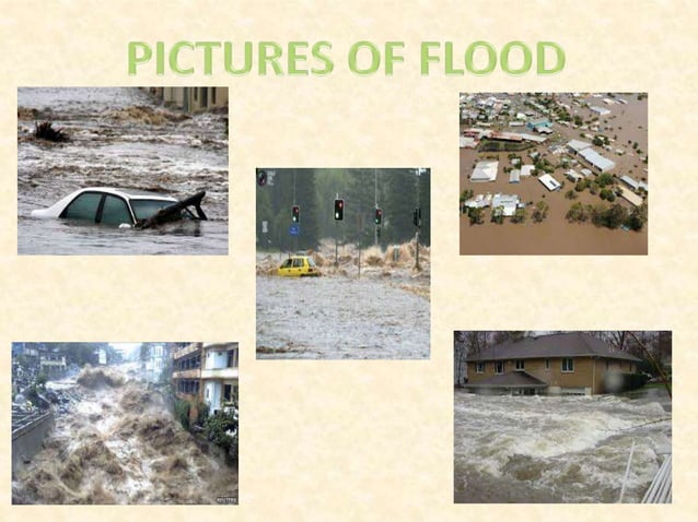 Natural Disasters by Roshan Adhithya | PPTX | Science