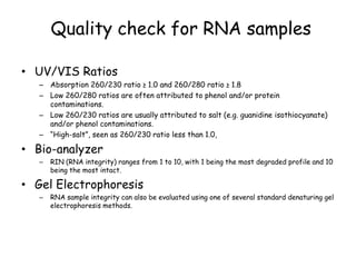RNA lab 021215.pptx