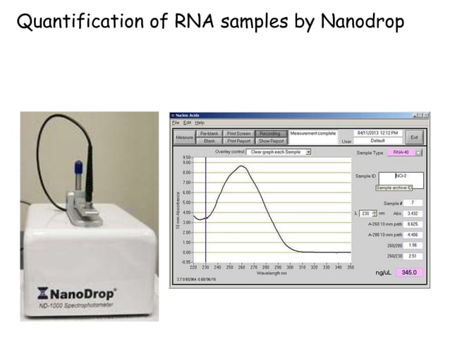 RNA lab 021215.pptx