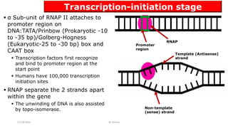 RNA METABOLISM I.pdf