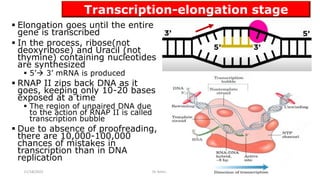 RNA METABOLISM I.pdf