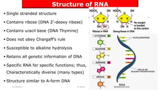 RNA METABOLISM I.pdf