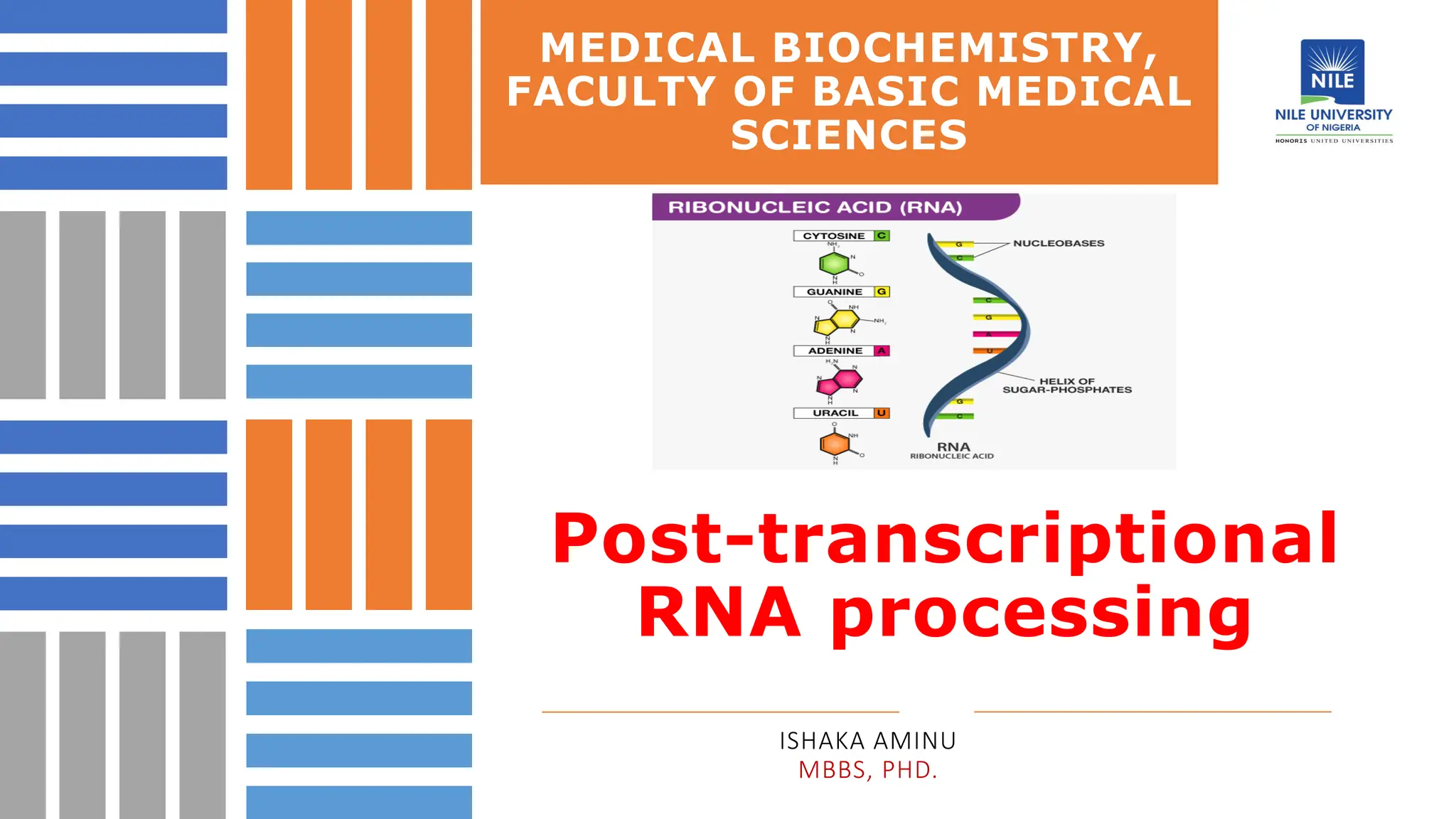 RNA METABOLISM II.pdf | Free Download