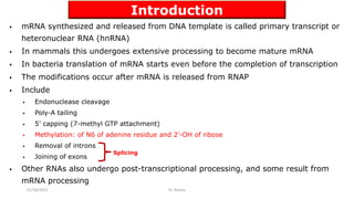 RNA METABOLISM II.pdf | Free Download