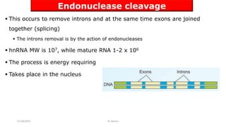 RNA METABOLISM II.pdf | Free Download