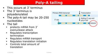 RNA METABOLISM II.pdf