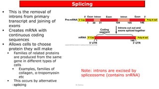 RNA METABOLISM II.pdf
