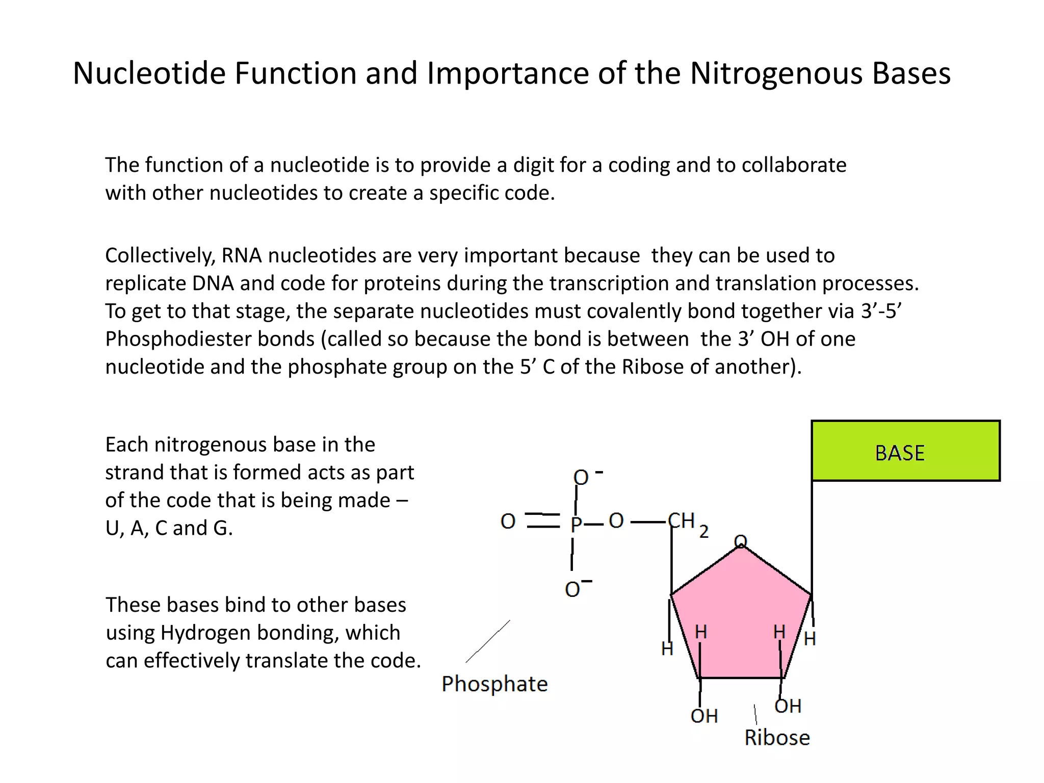 Rna nucleotides chemical structure, function, importance of bases | PPT