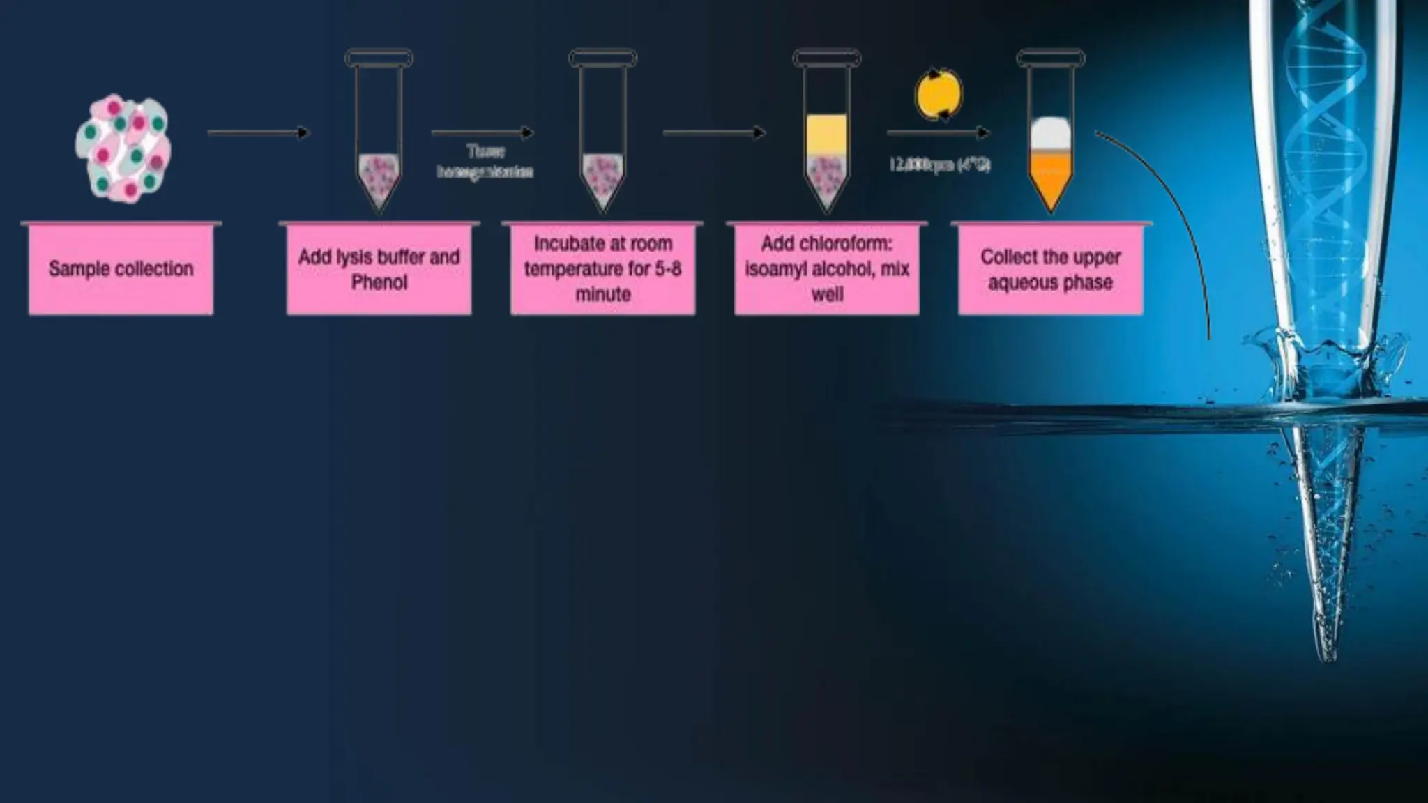 RNA organic extraction.pdf