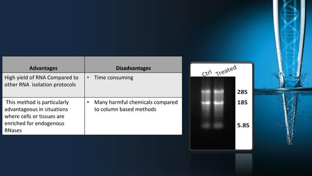 RNA organic extraction.pdf