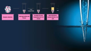 RNA organic extraction.pdf