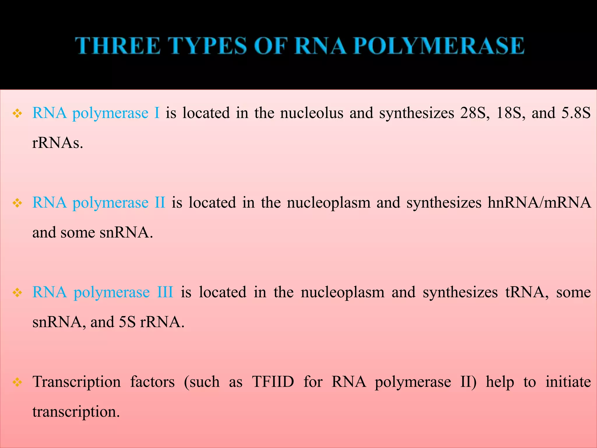 Rna polymerase | PPTX