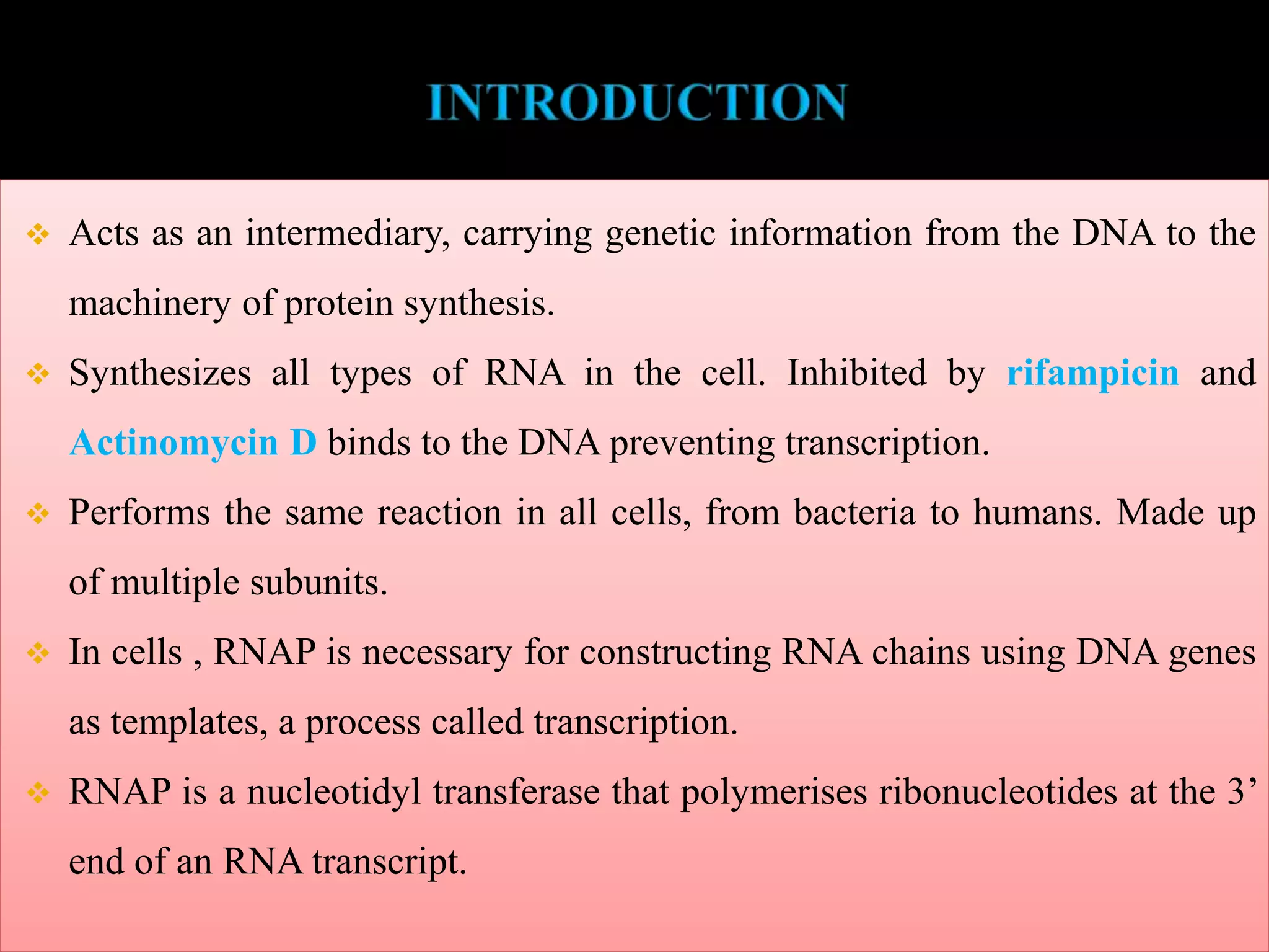 Rna polymerase | PPTX