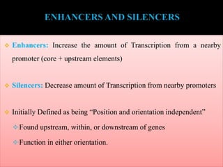 Rna polymerase | PPTX